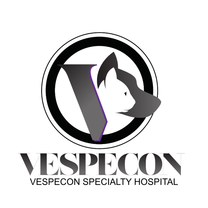 Veterinarian in Shreveport | Vet Near You | Veterinary Vision Center